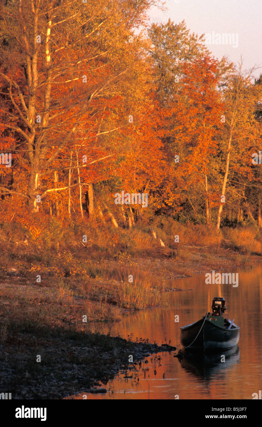 Fall miramichi hi-res stock photography and images - Alamy