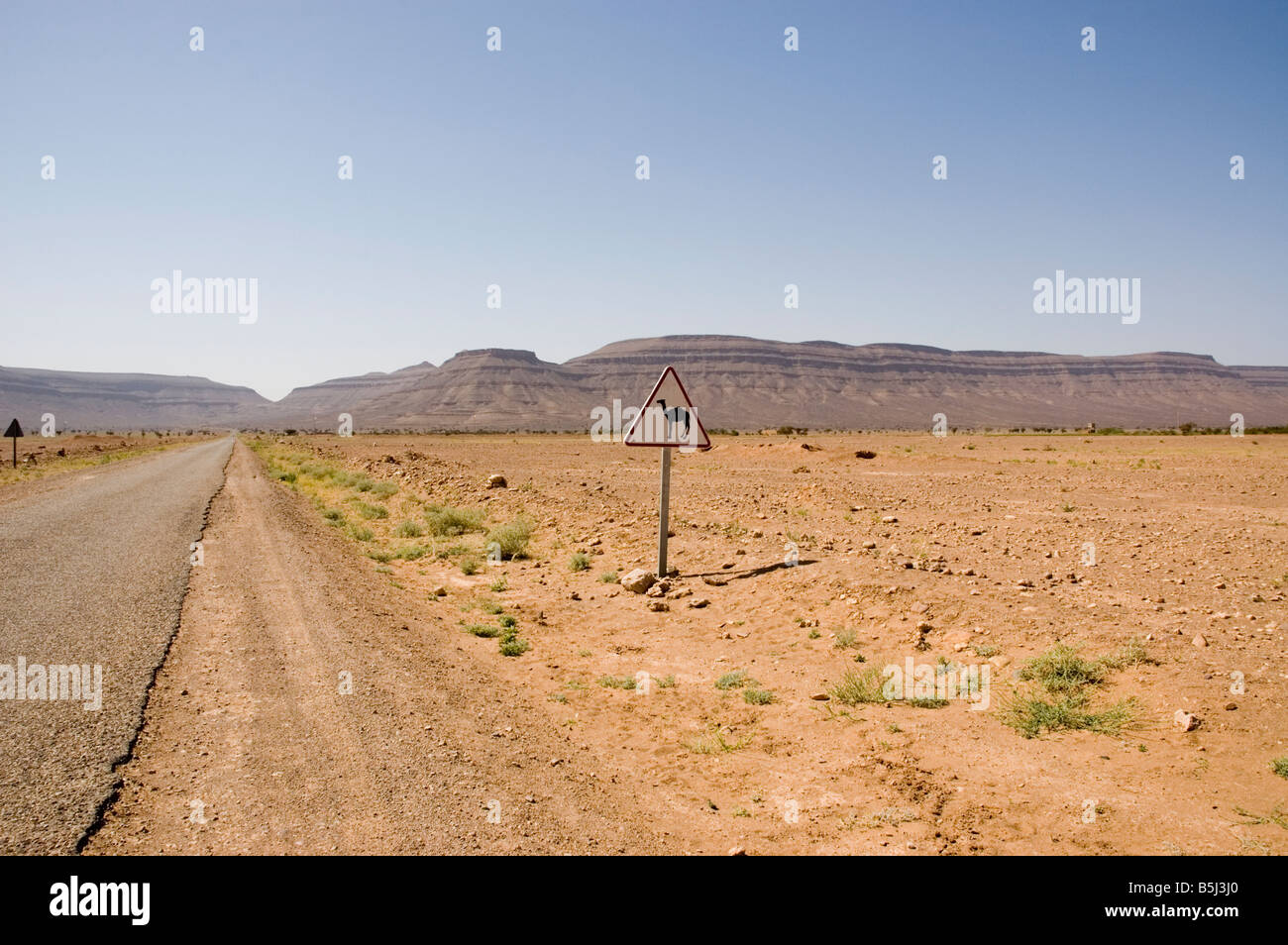 Camel Road Sign in Sahara Desert, Morocco Stock Photo - Alamy