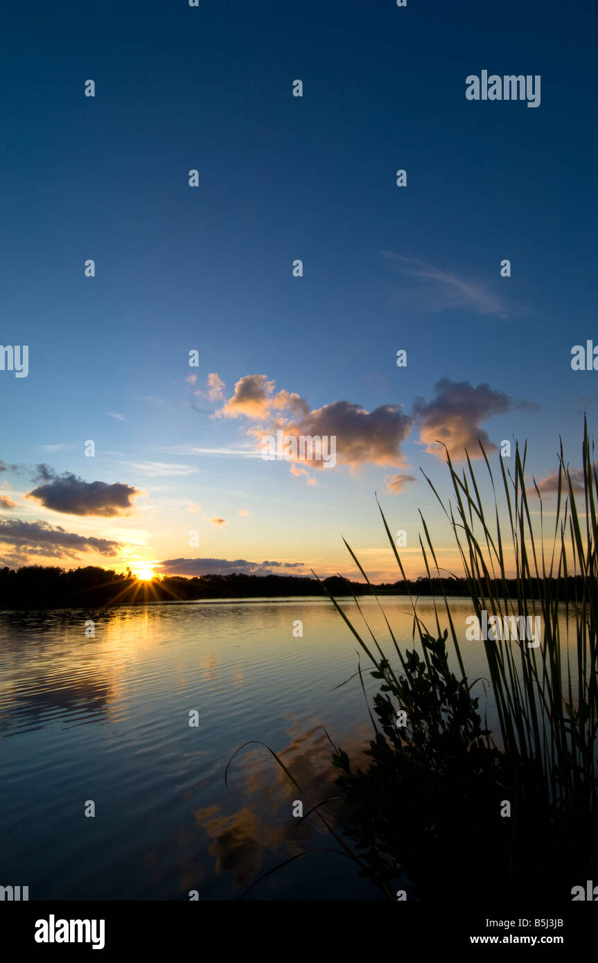 United States Of America Florida Everglades sunset Stock Photo - Alamy