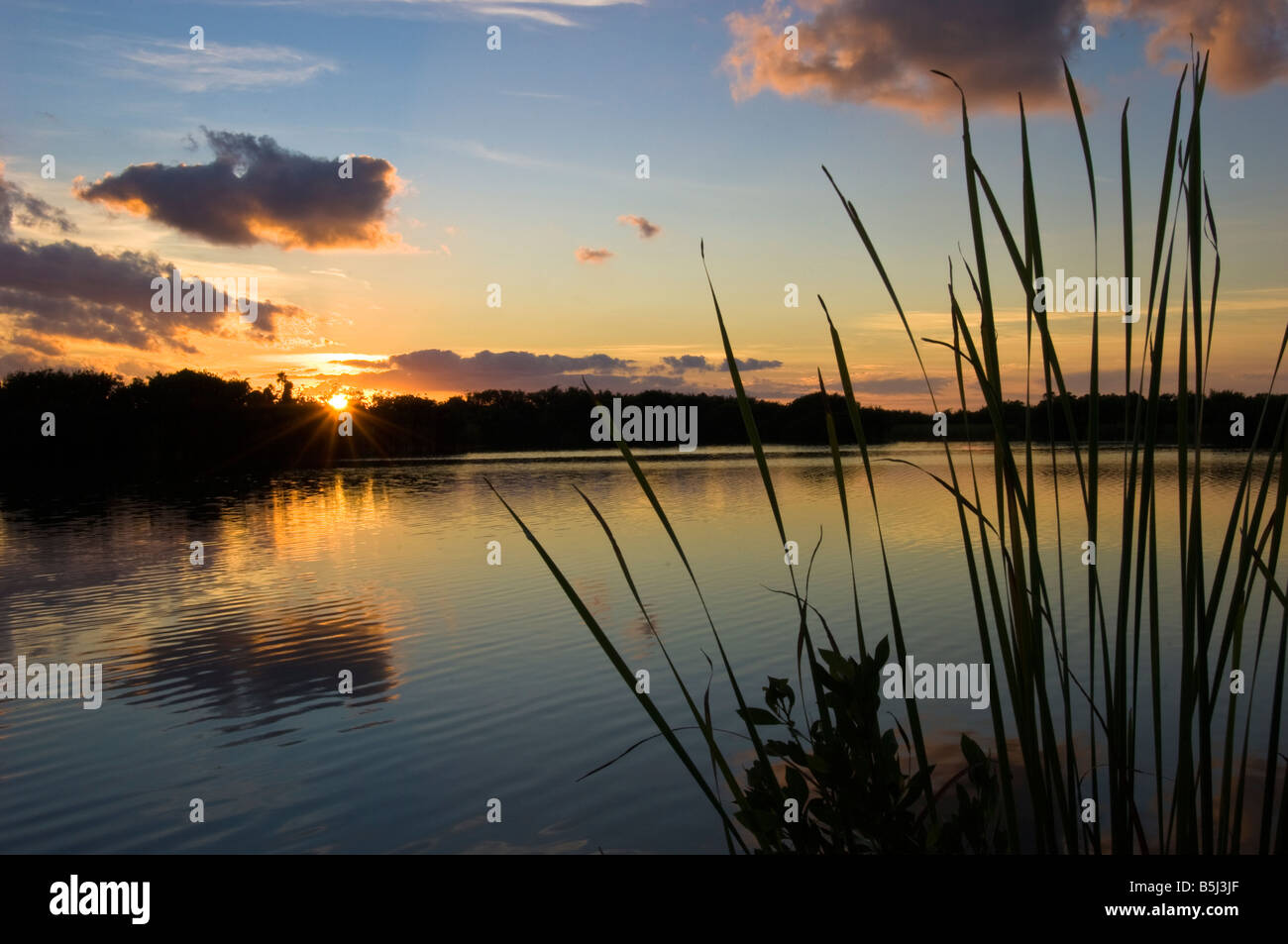 United States Of America Florida Everglades sunset Stock Photo - Alamy