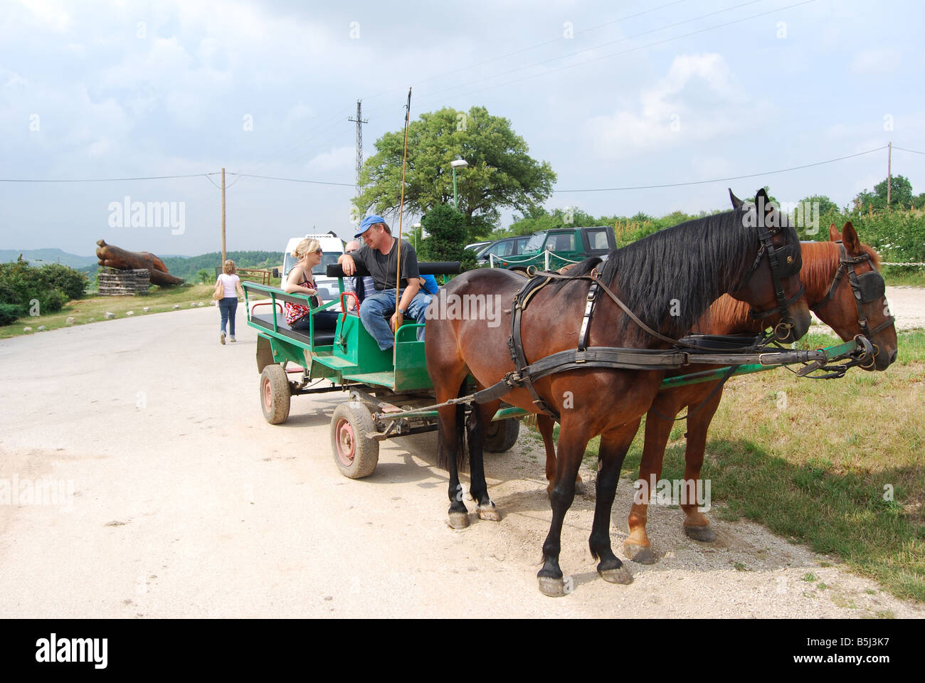 Horse riding at Lake Balaton Hungary Stock Photo - Alamy