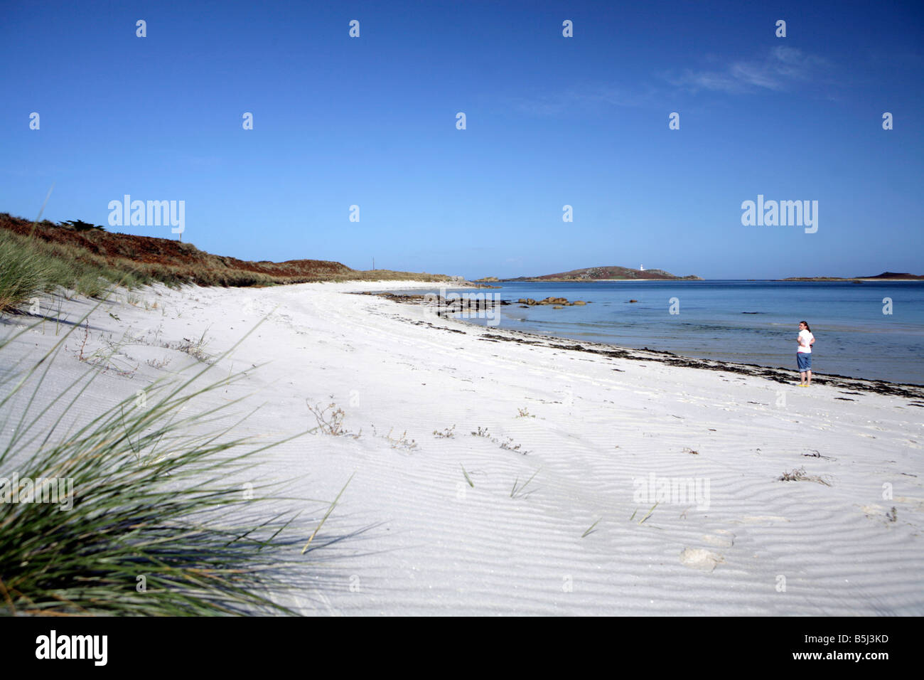 The white sand beach of Pentle Bay on Tresco, Scilly Isles, UK Stock ...