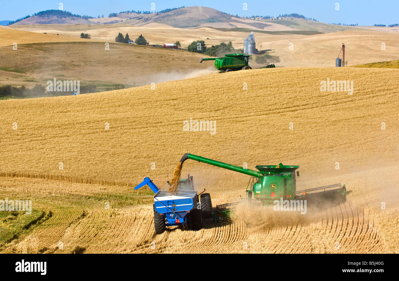Harvesting on a large modern farm hi-res stock photography and images ...