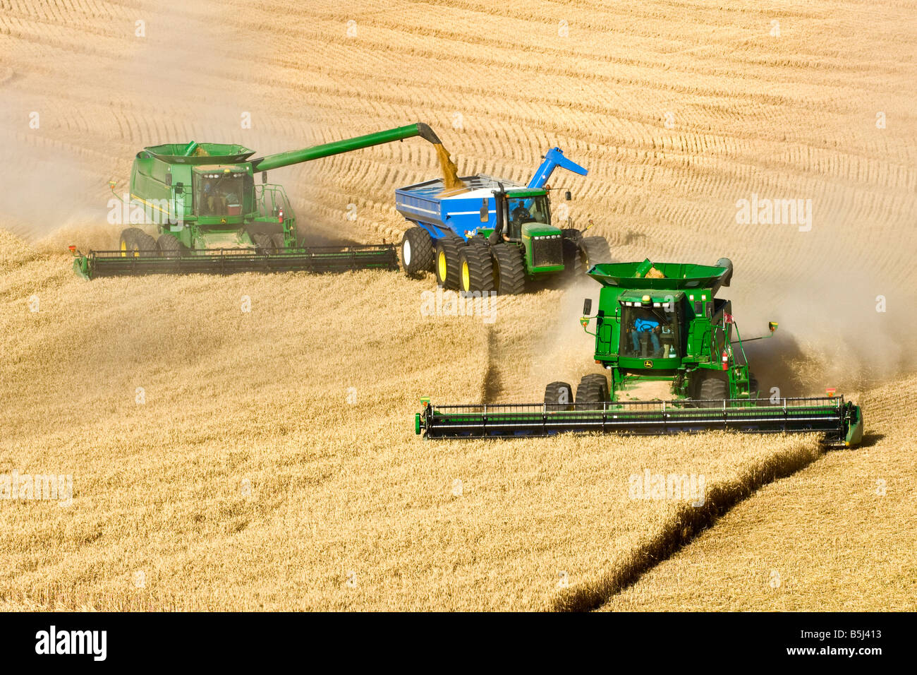 A team of combines harvest wheat while one unloads to a grain cart on ...