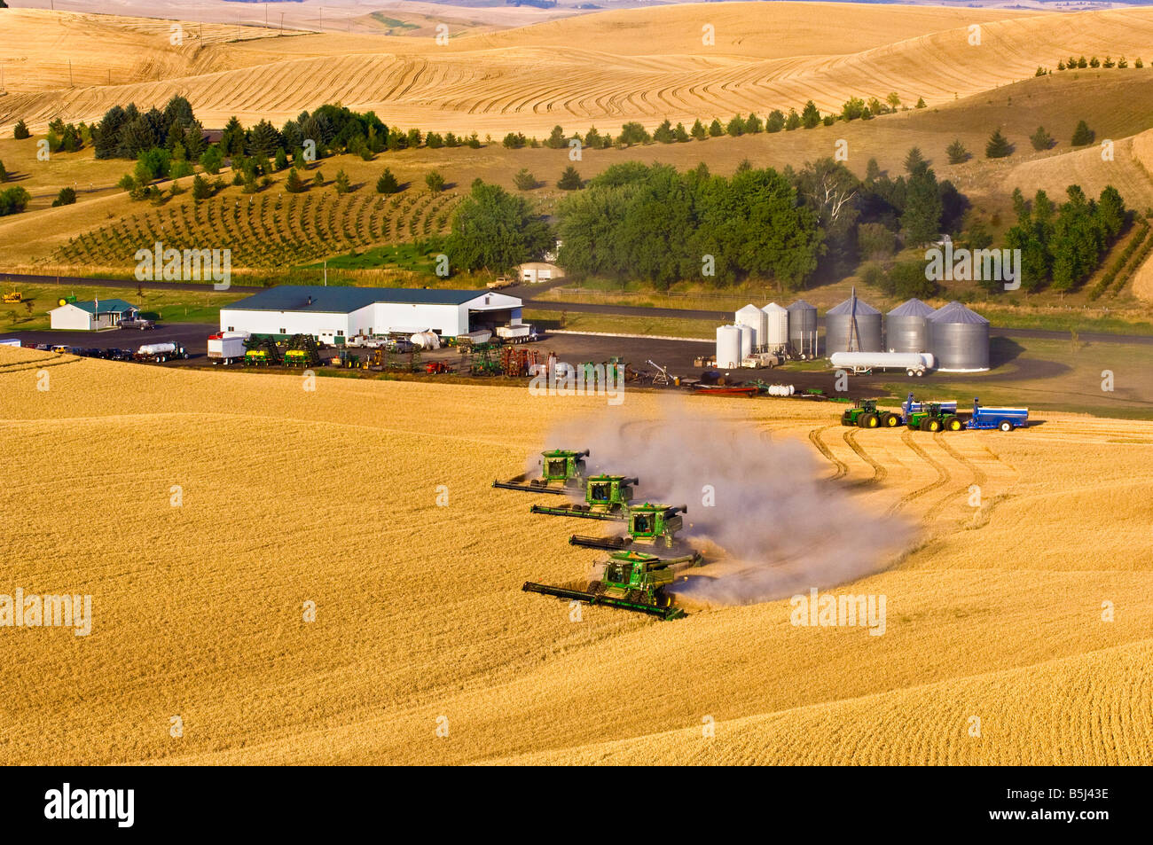 Multiple combines harvesting wheat in hi-res stock photography and ...