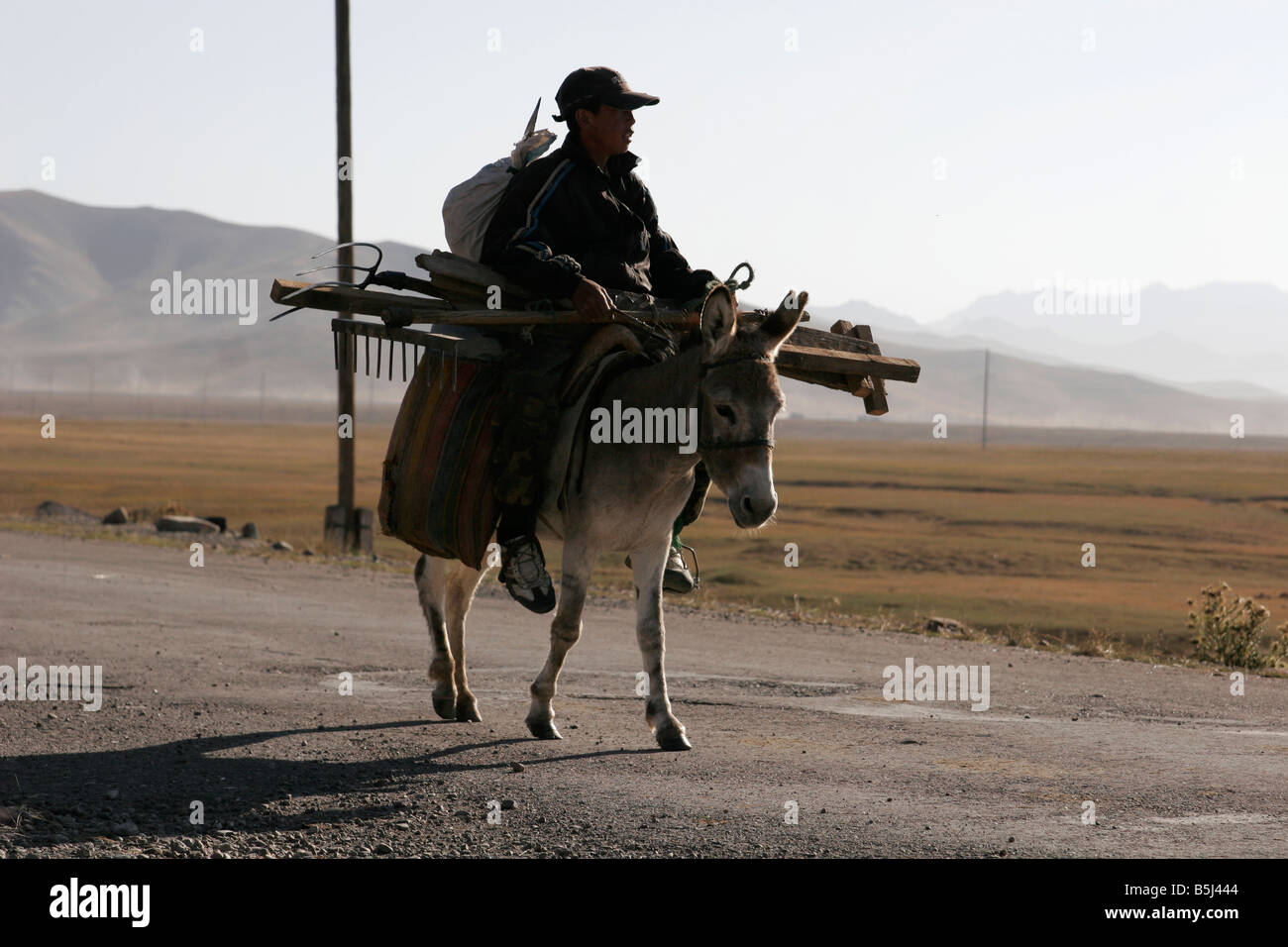 Donkey riding rider hi-res stock photography and images - Alamy