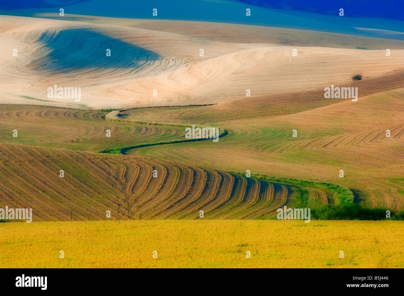 Palouse wheat fields hills hi-res stock photography and images - Alamy