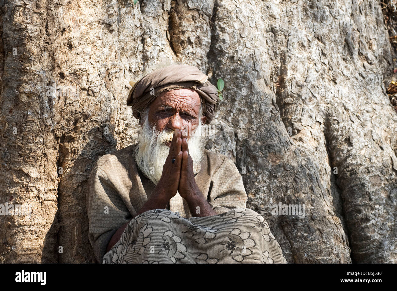 Old indian man sitting against banyan tree. Chikballapur, Karnataka ...