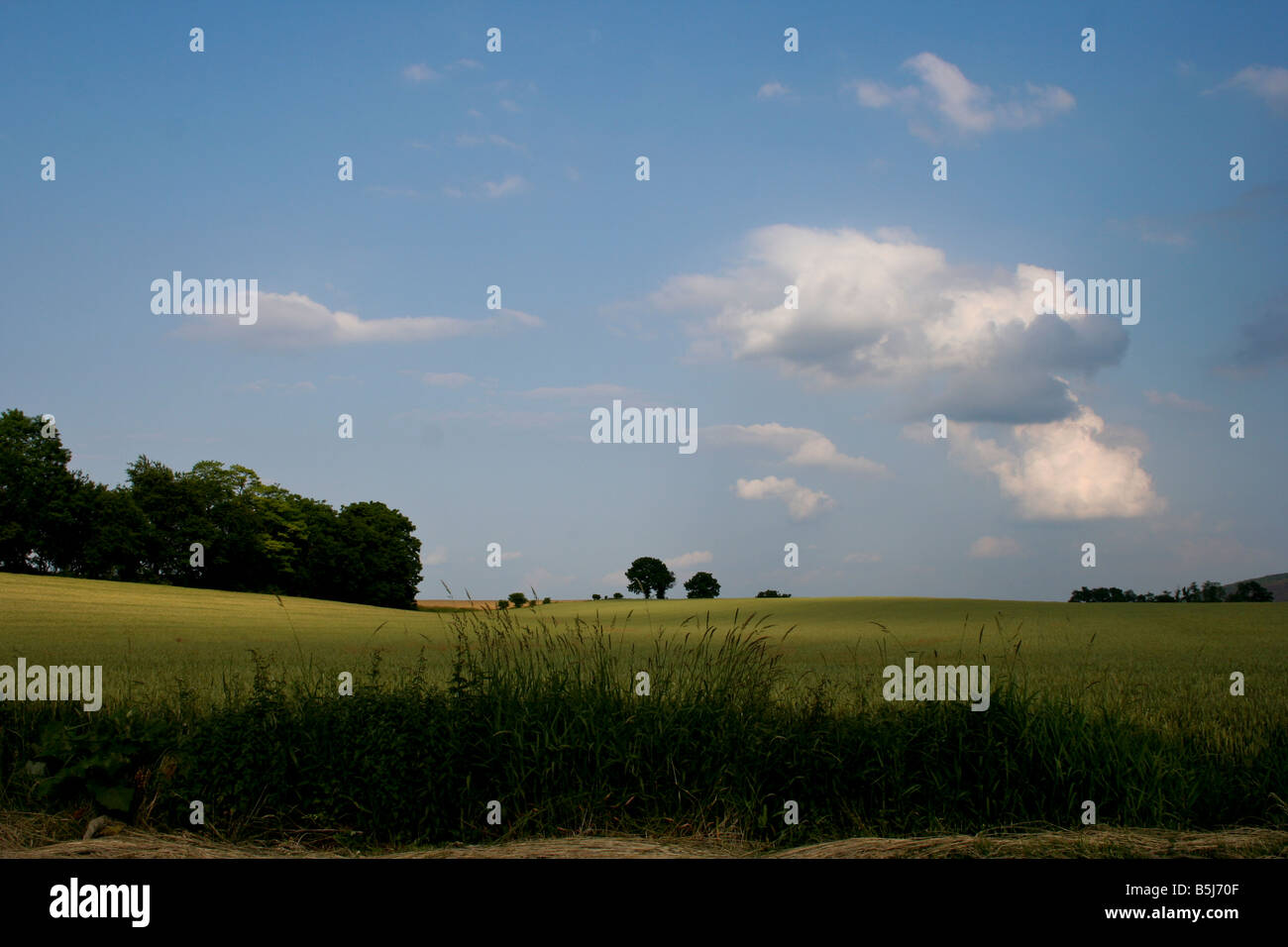 Scudding clouds hi-res stock photography and images - Alamy