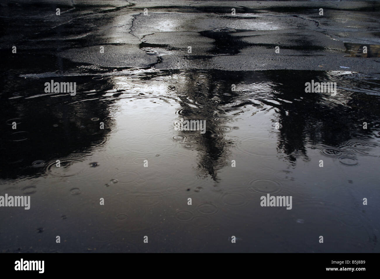 lots rain drops falling in water puddle in street Stock Photo - Alamy