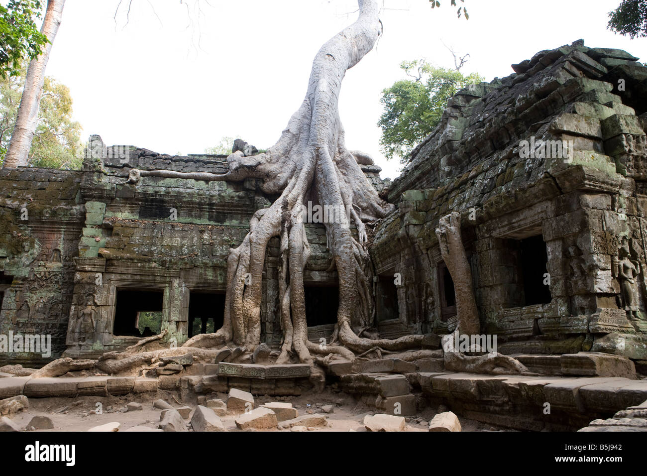 Inside the overgrown temple of Ta Prohm Temples of Angkor Siem Reap ...