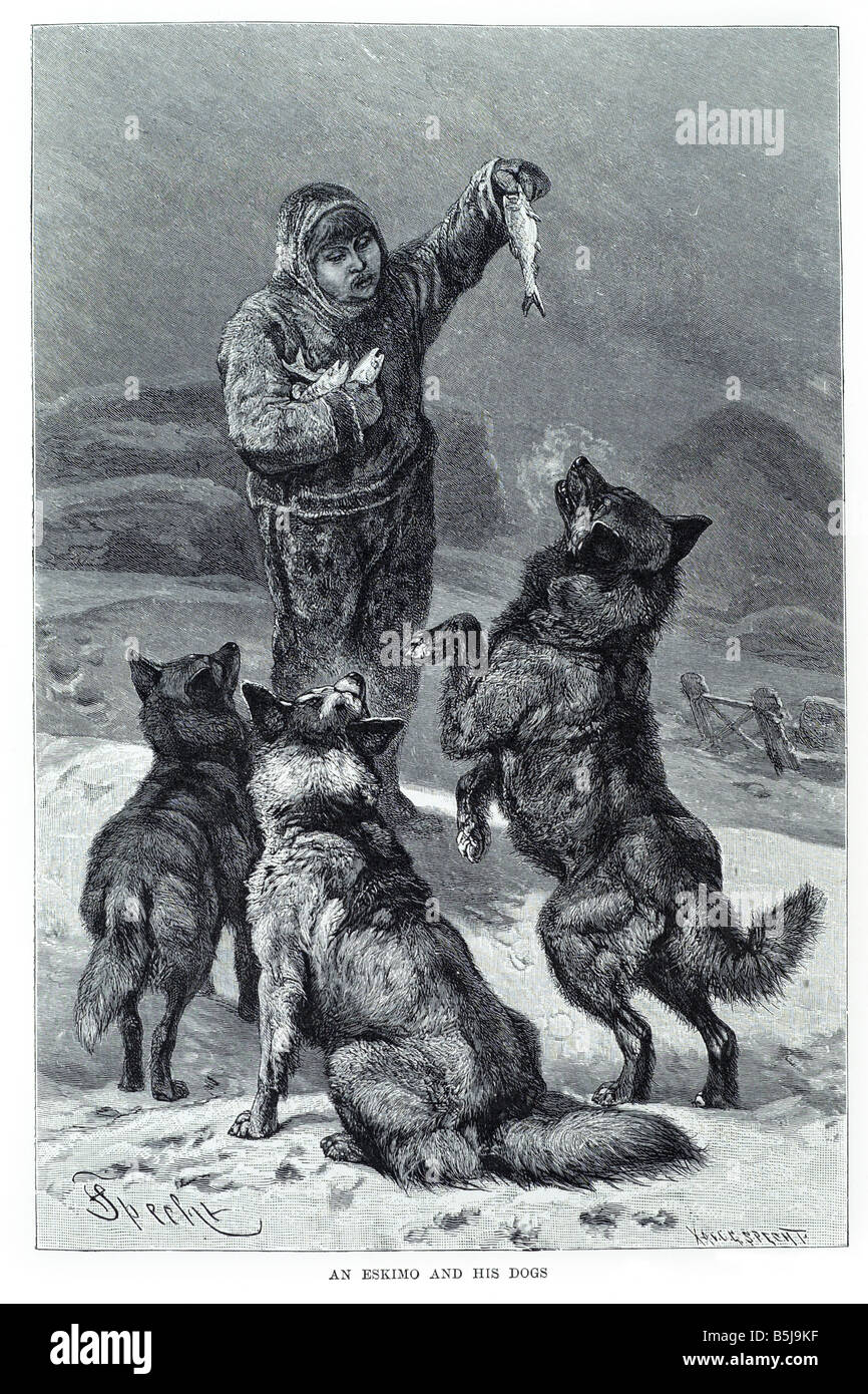 ESKIMO AND HIS DOGS husky feed feeding fish Stock Photo - Alamy