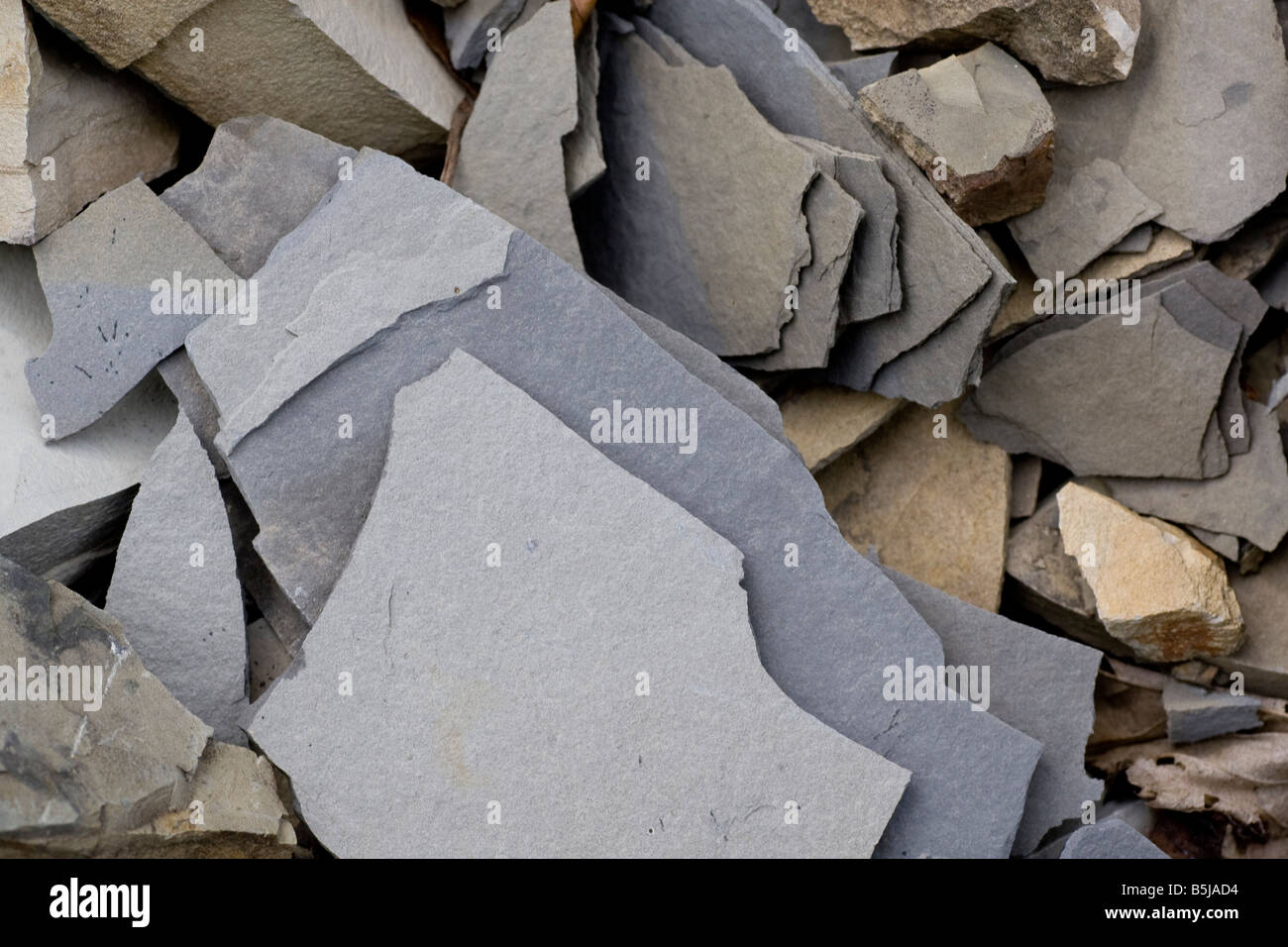 LPT: Manscape your junk with a women's razor. : r/LifeProTips