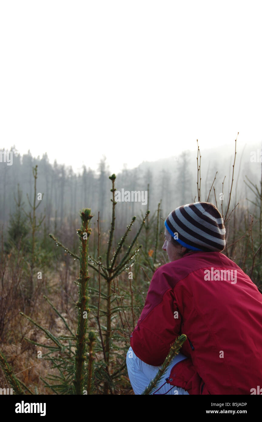 Figure in forest clearing Stock Photo - Alamy