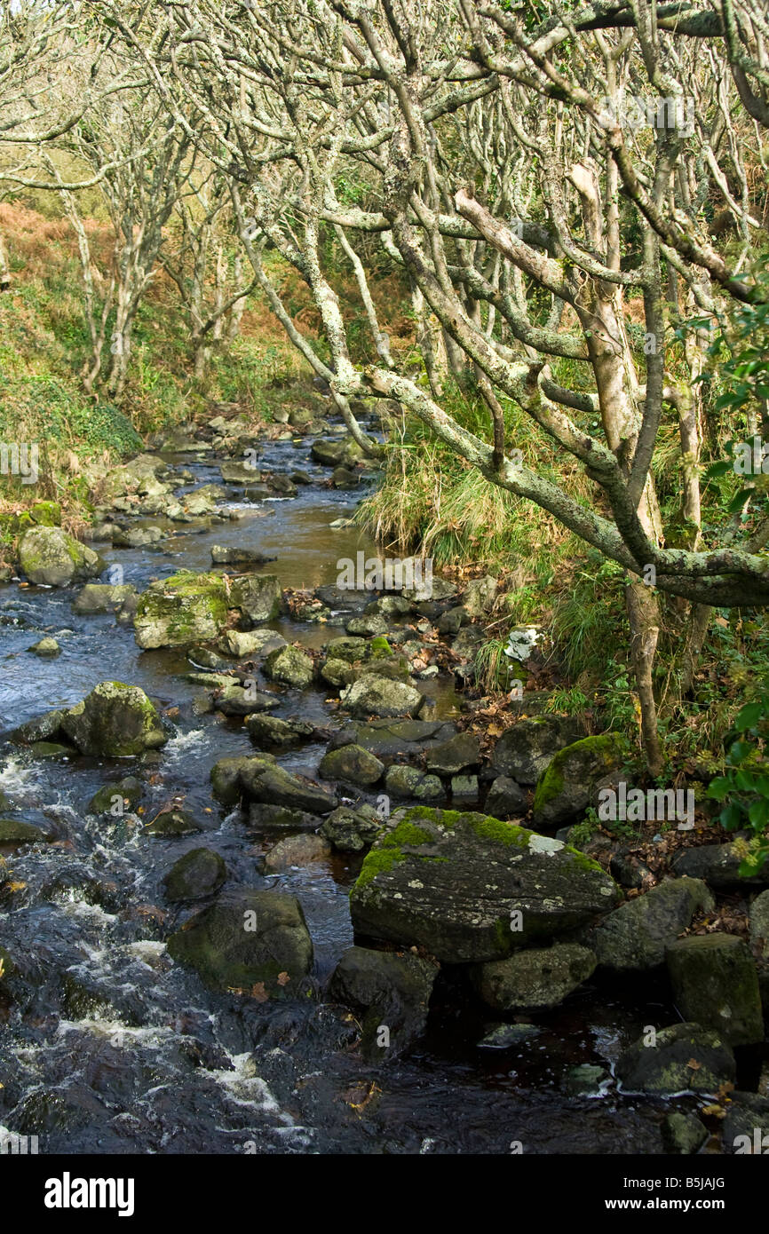 Stream uk hi-res stock photography and images - Alamy