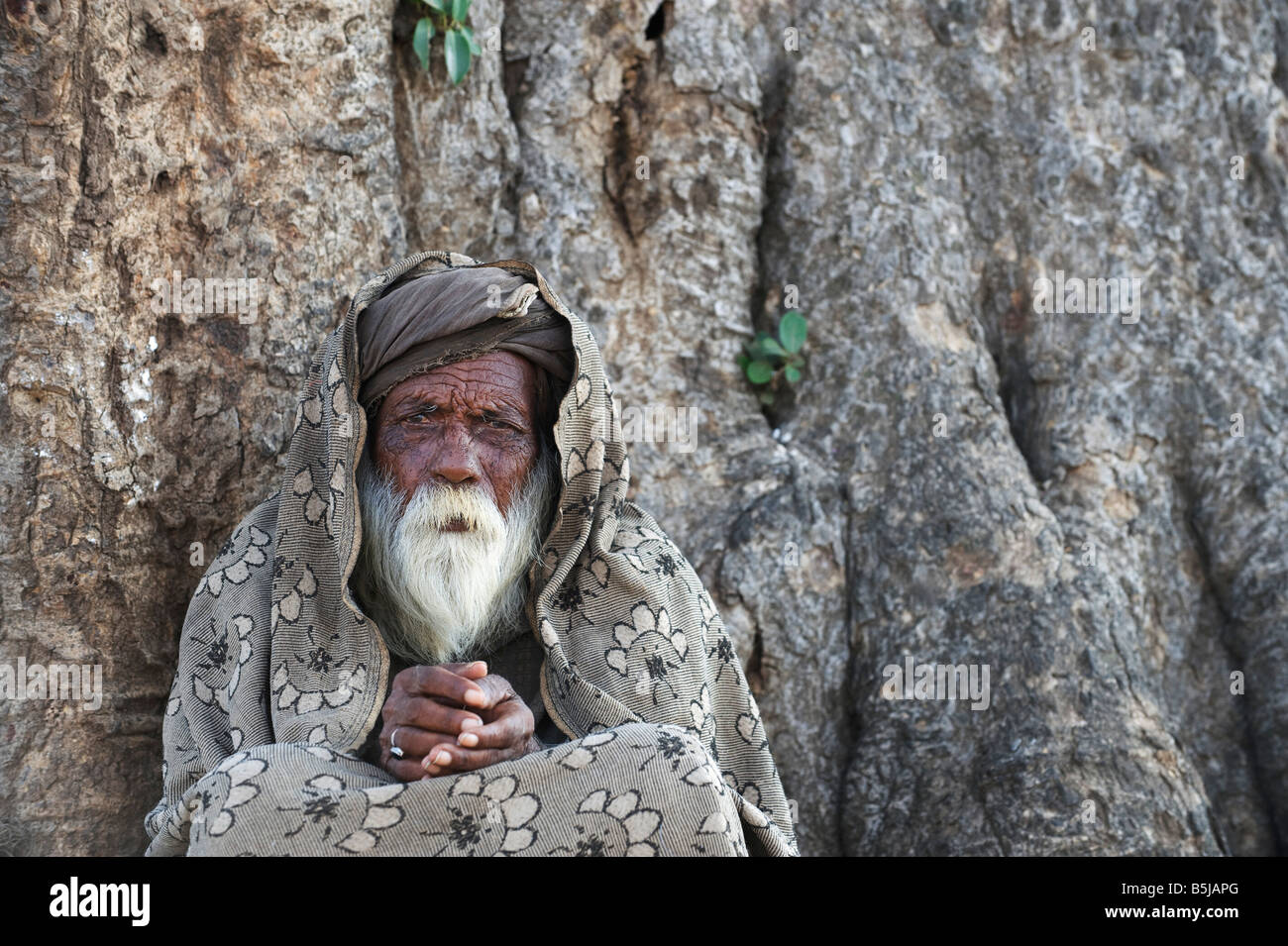 Old indian man sitting against banyan tree. Chikballapur, Karnataka ...