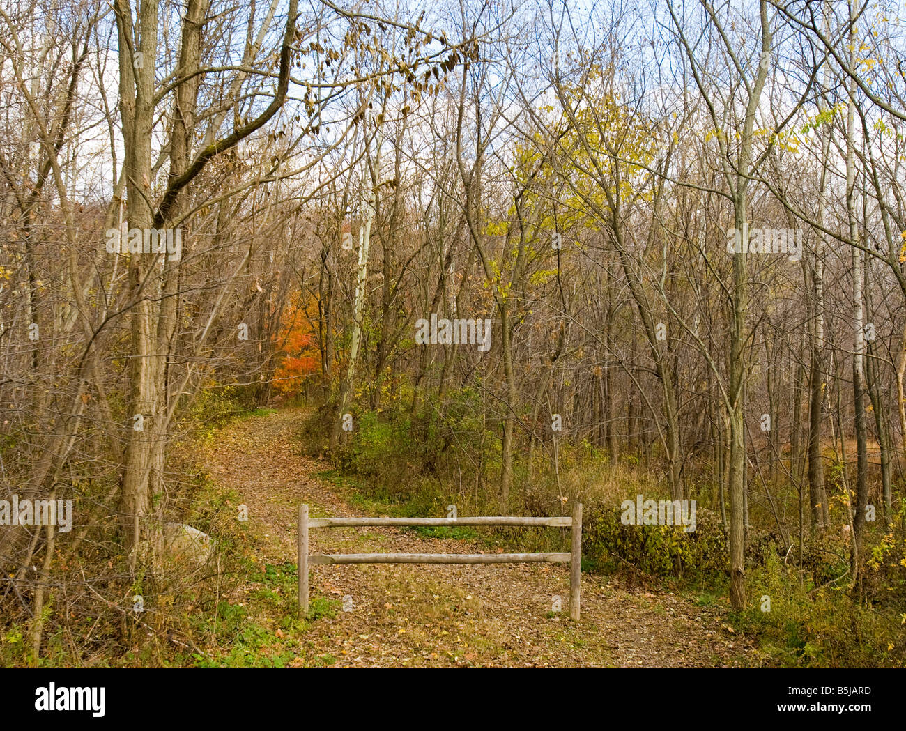 Stop vehicles hi-res stock photography and images - Alamy