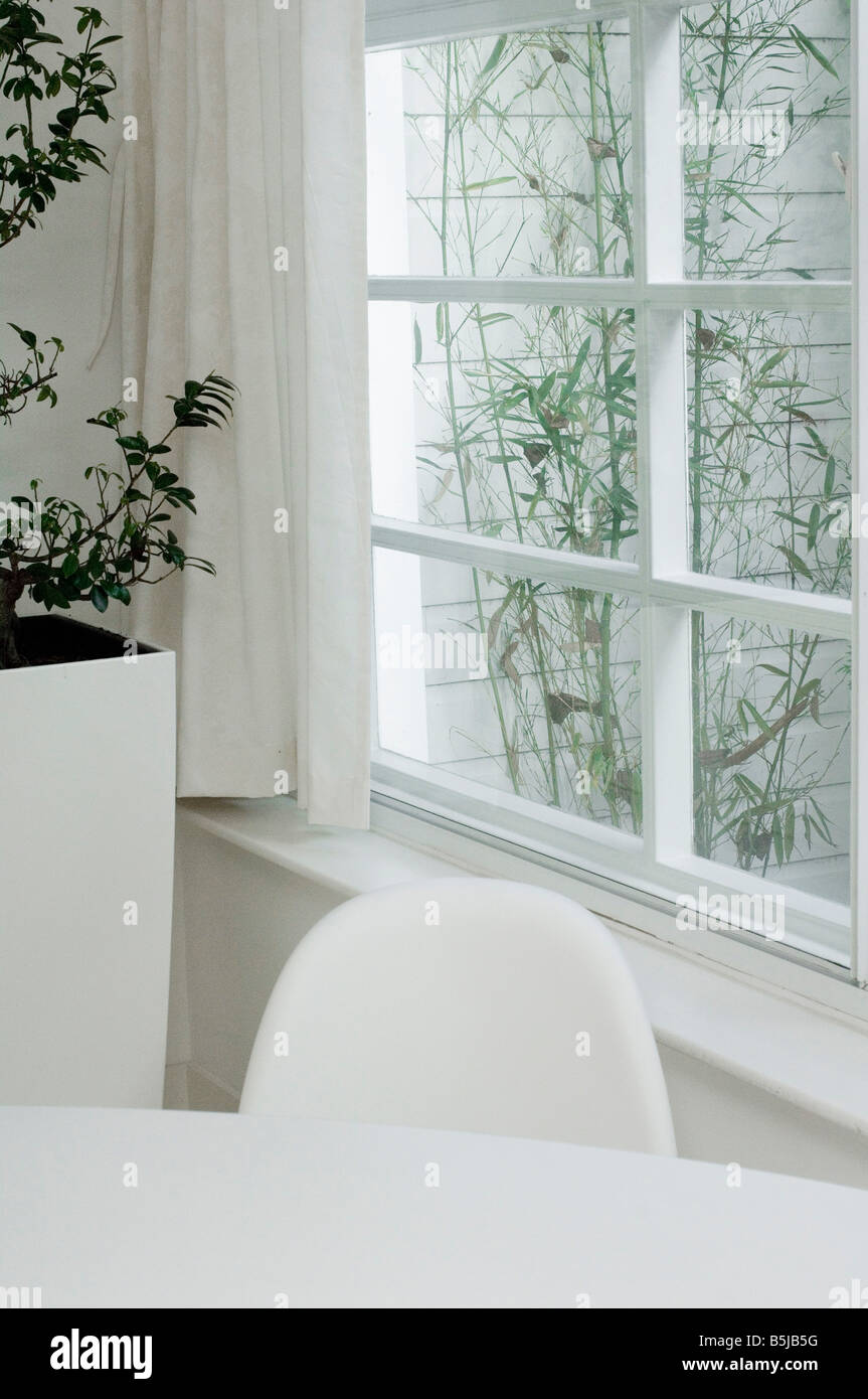view into office Stock Photo - Alamy
