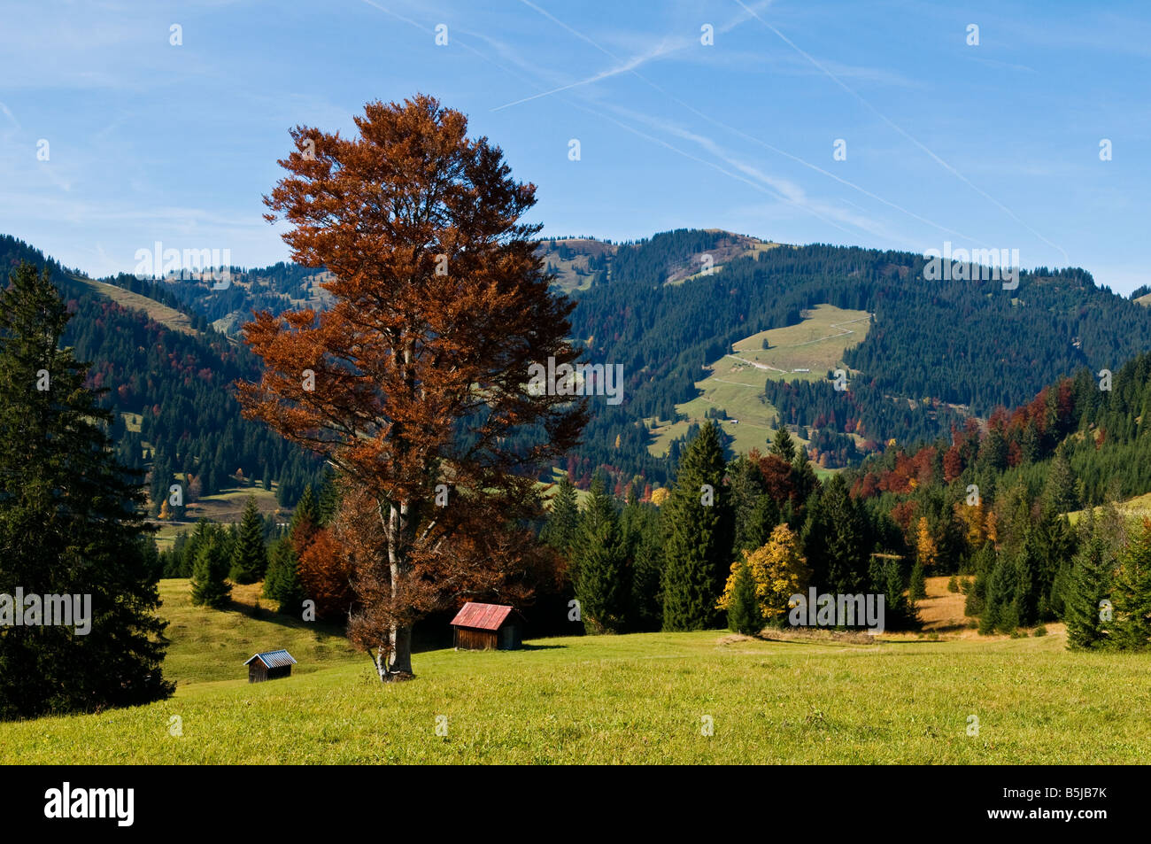 Alpine farm fields in autumn at the Oberjoch Pass on the German ...