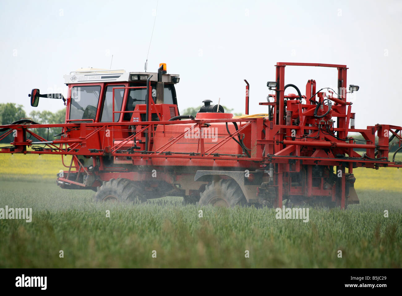 Spring Wheat crop being sprayed at Clare in Suffolk Stock Photo - Alamy