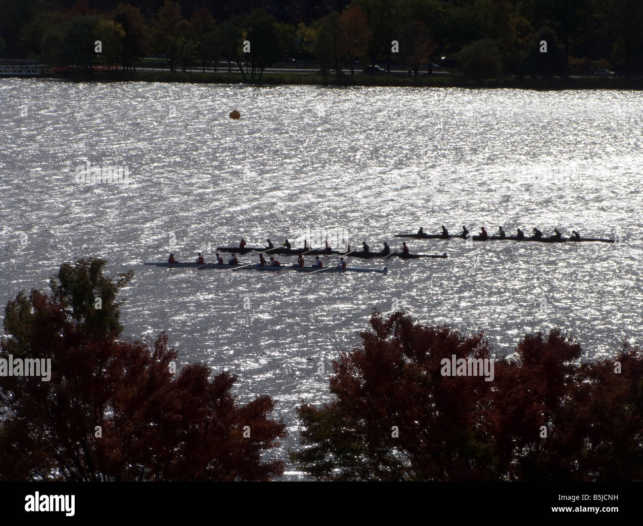 Rowers on the Charles River during the Head of the Charles Regatta on ...