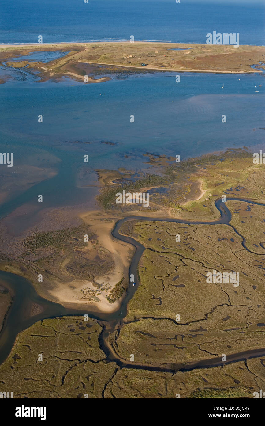 Aerial landscape showing the intertidal zone of creeks and saltmarsh ...