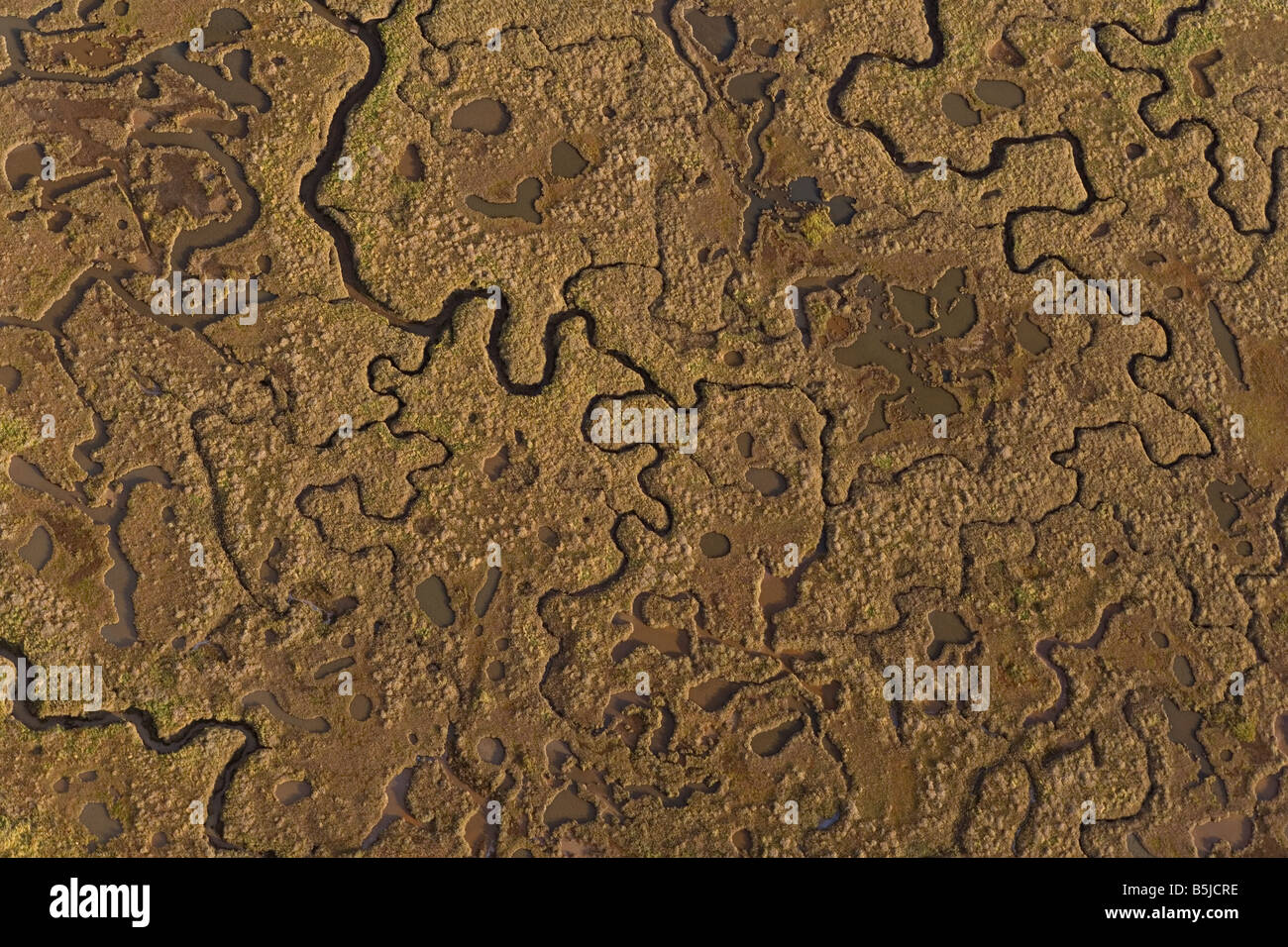 Aerial landscape showing the intertidal zone of creeks and saltmarsh ...