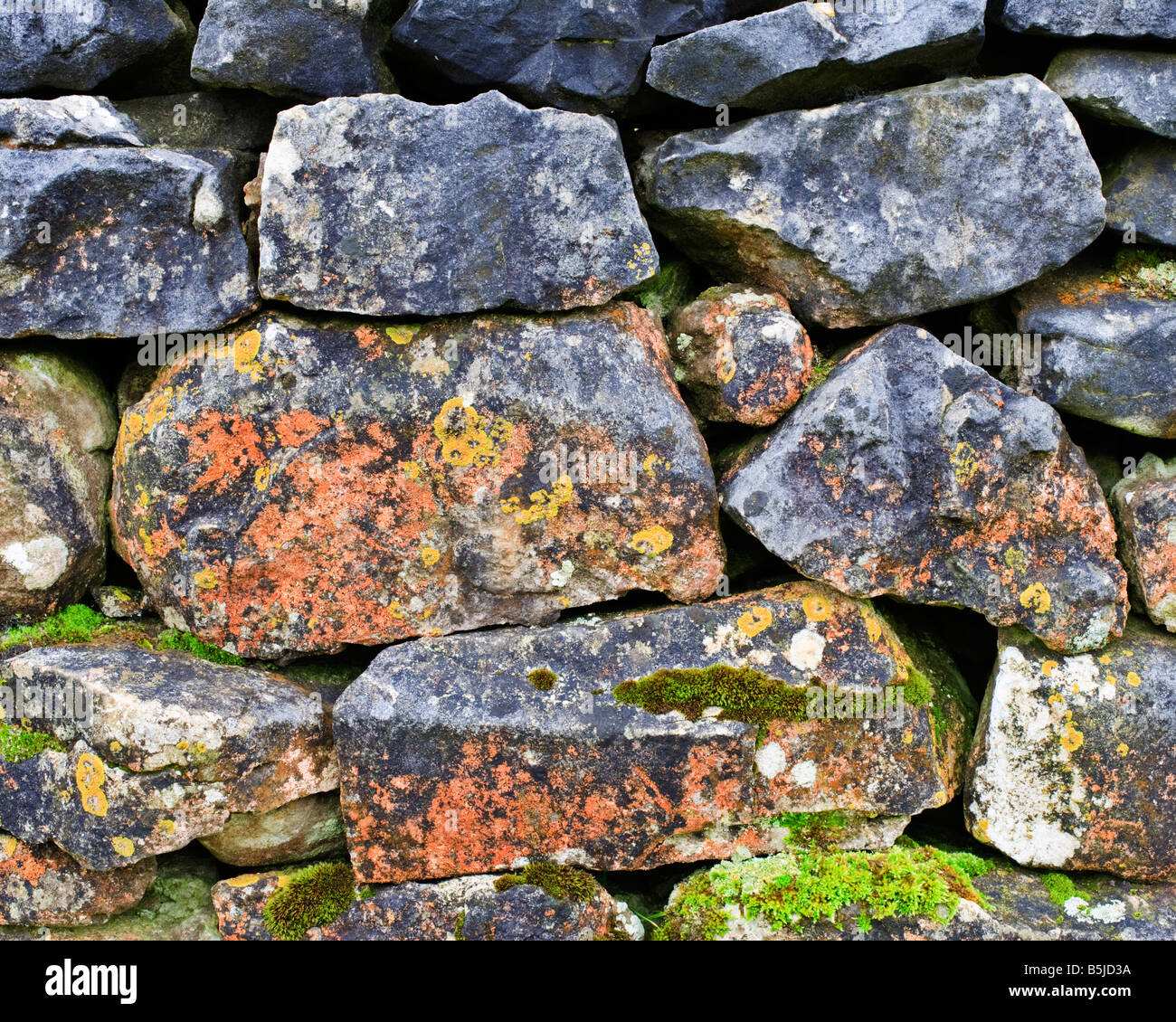 Detail of a typical limestone dry stone wall on a farm near Ingleton in ...