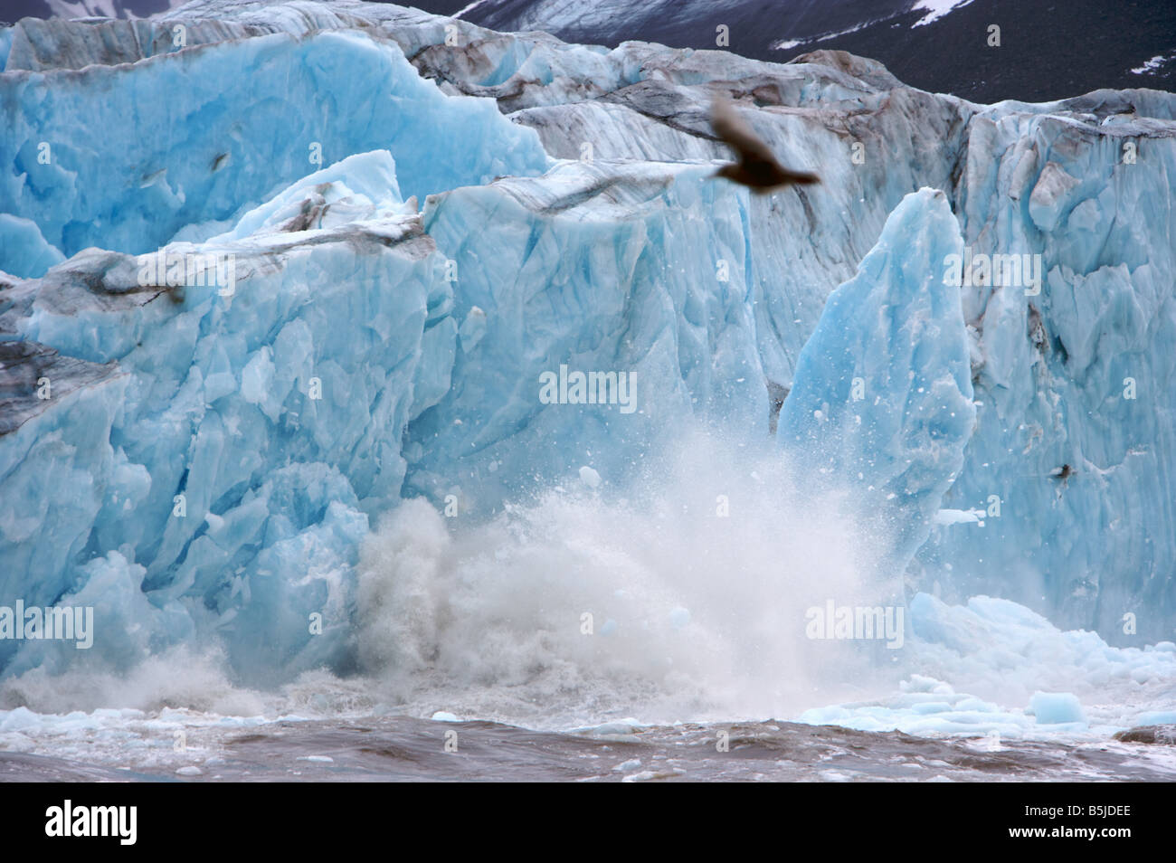 Ice breaking down monaco glacier hi-res stock photography and images ...