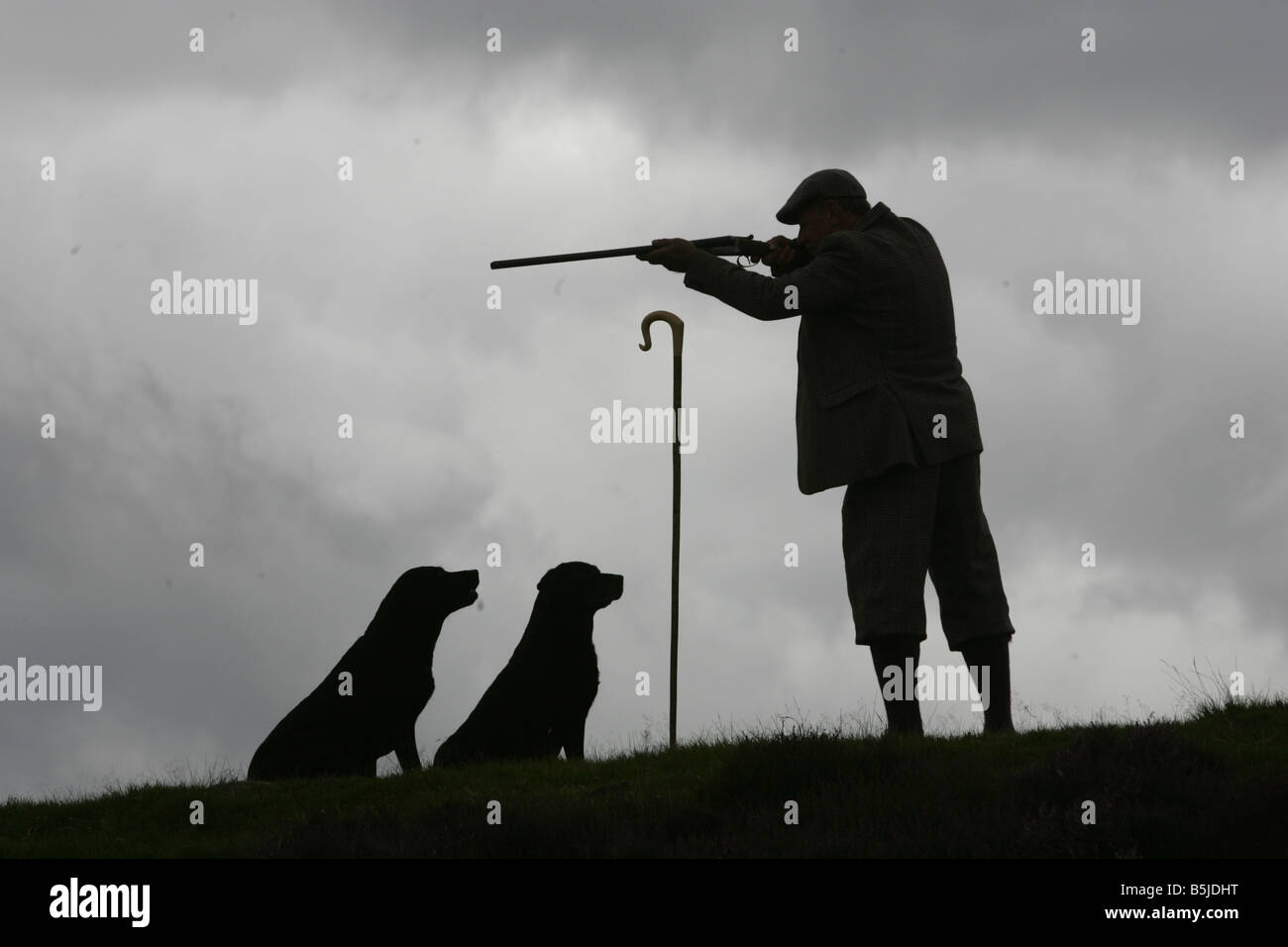 Gamekeeper scotland hi-res stock photography and images - Alamy