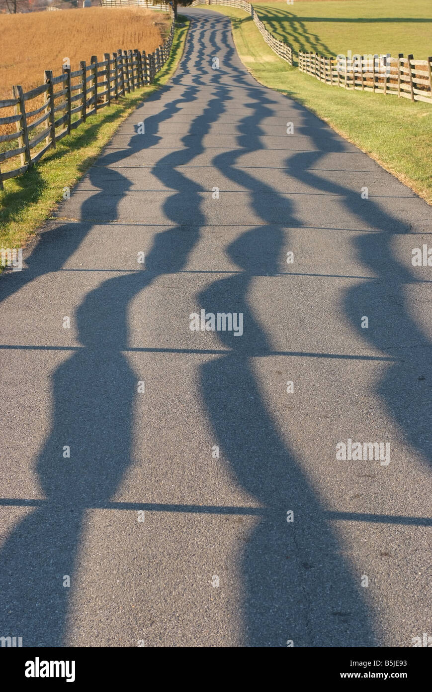 shadows of a fence on a single lane road Stock Photo - Alamy