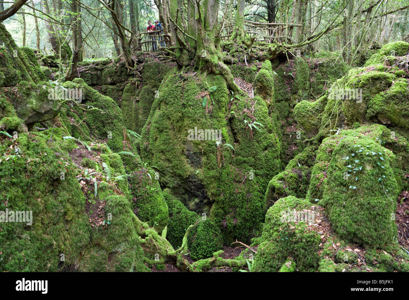 Scowle High Resolution Stock Photography and Images - Alamy