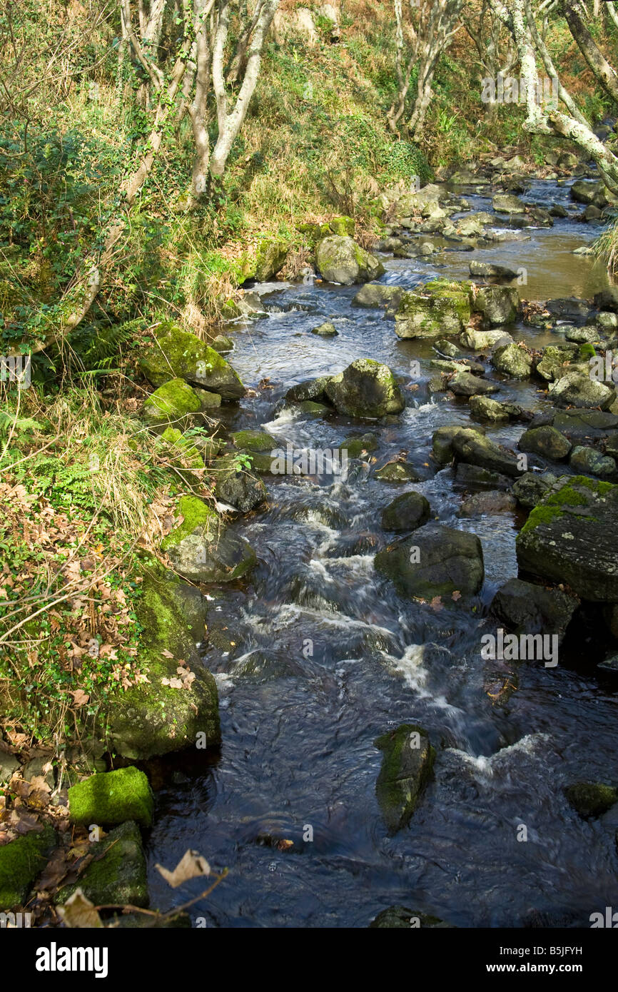 A rocky stream, Cornwall, UK Stock Photo - Alamy