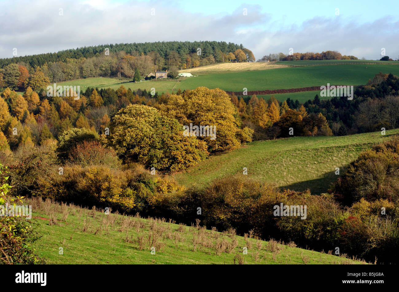 Forest of Dean landscape near Ruardean, Gloucestershire, England, UK ...