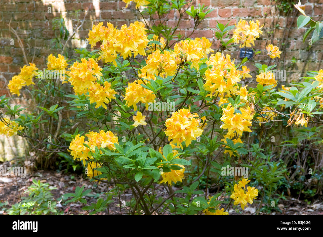 George reynolds hi-res stock photography and images - Alamy