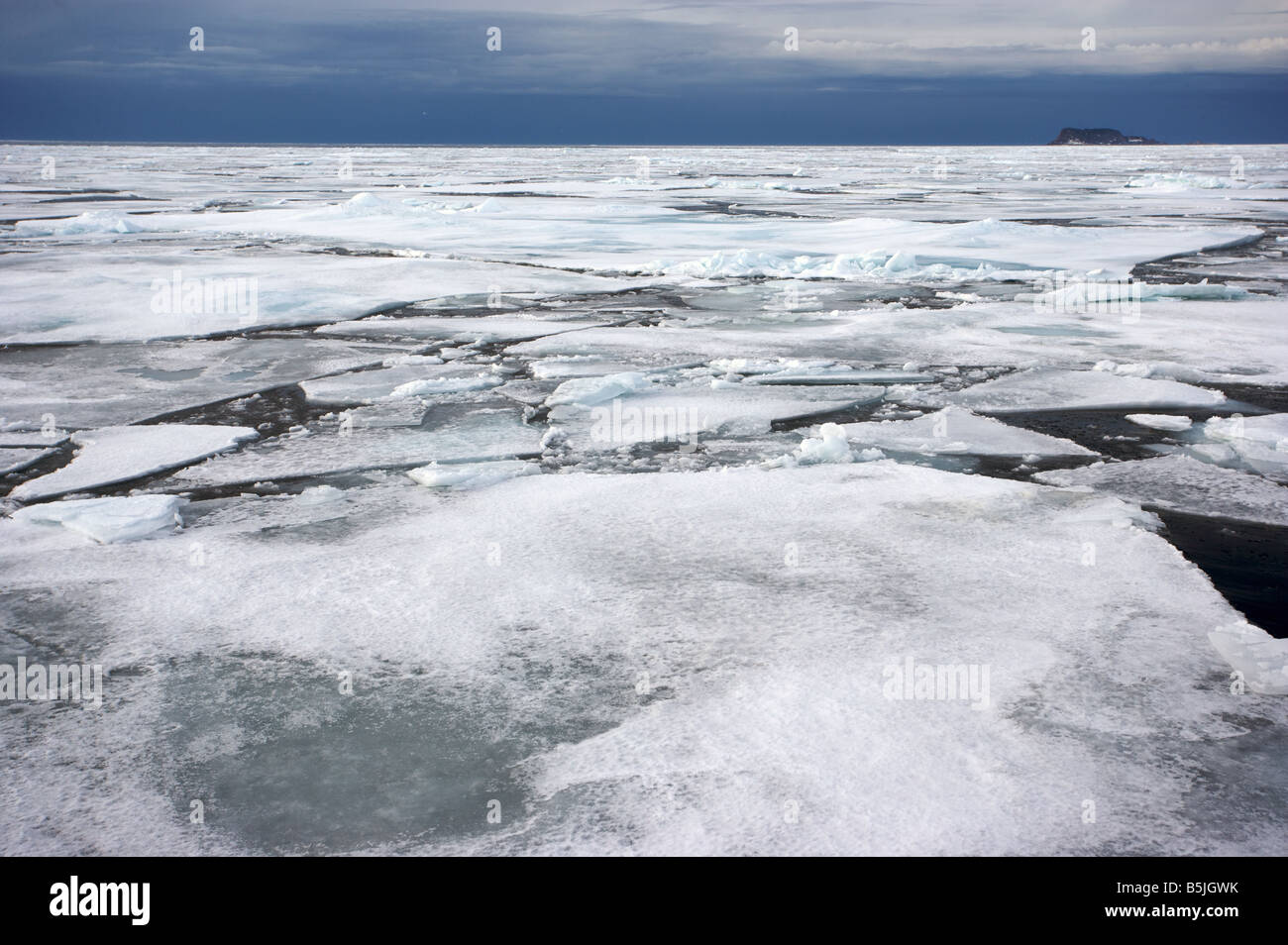 Pack ice pole hi-res stock photography and images - Alamy