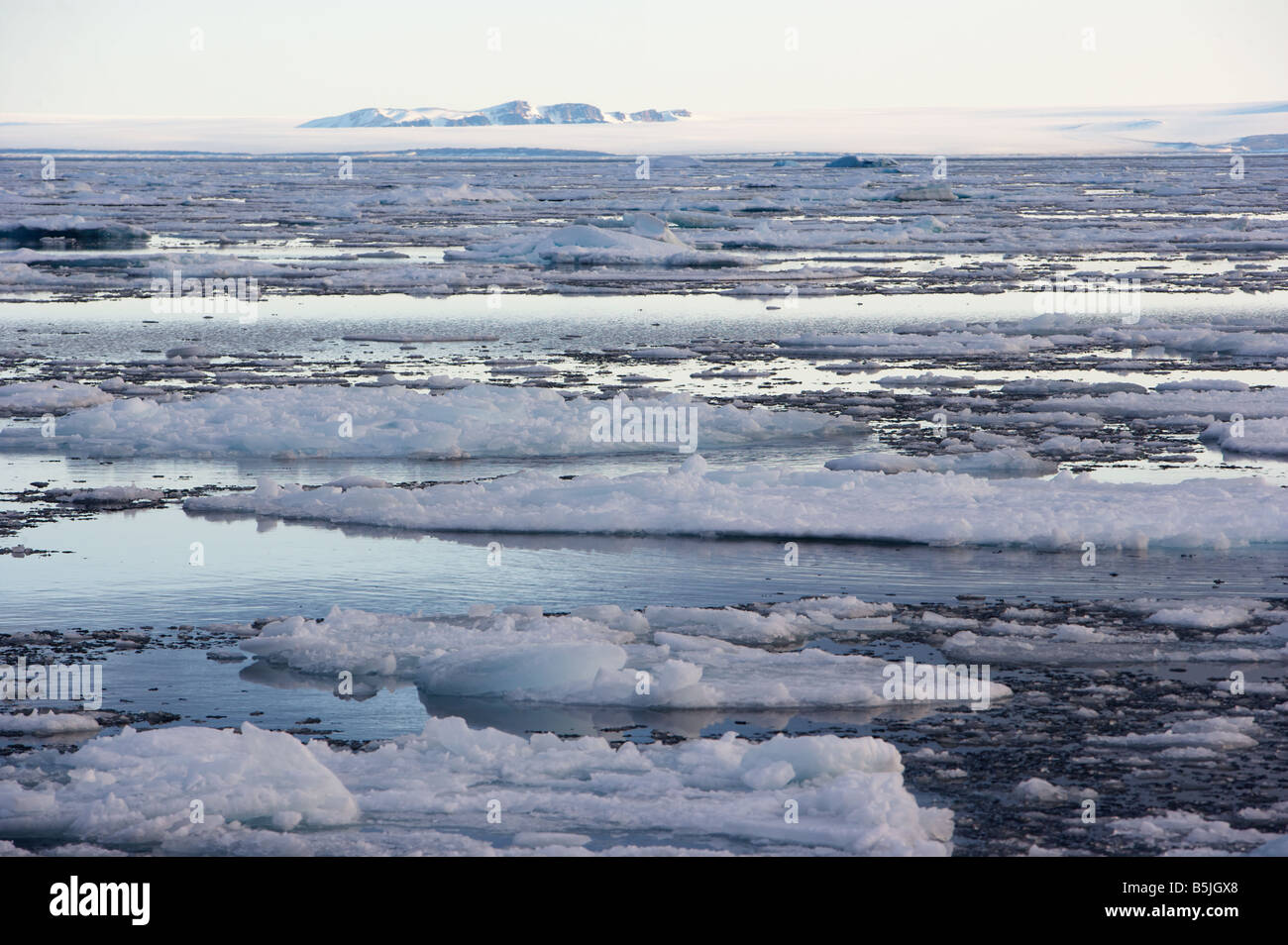 Drift ice in fjord Stock Photo - Alamy
