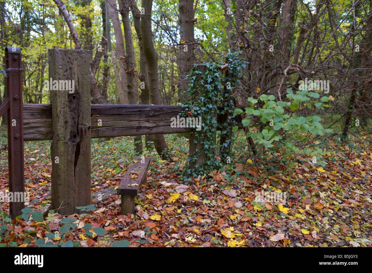 A wooden stile on a rural public footpath in early autumn, photographed ...