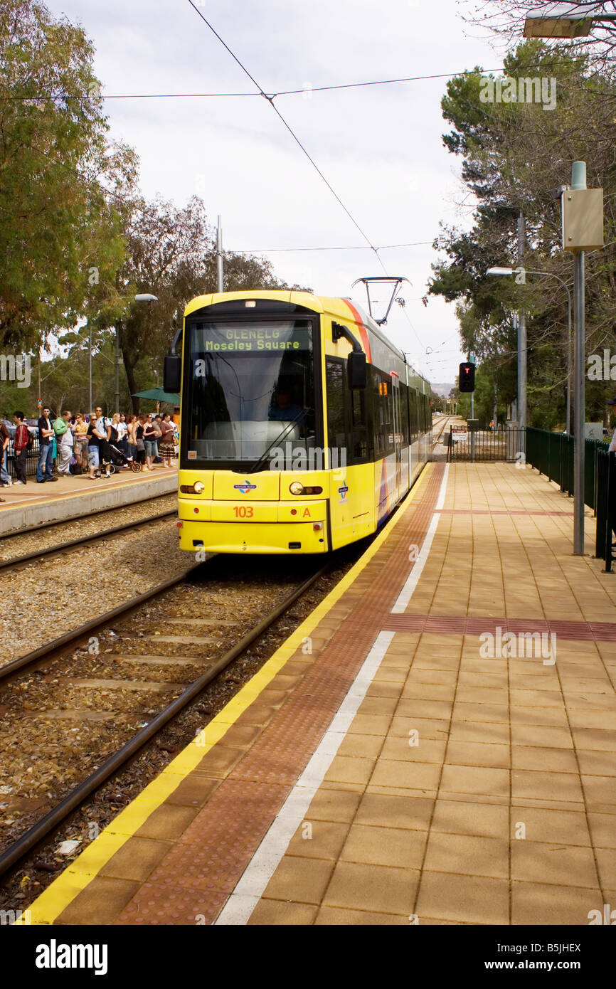 Photograph of a tram in Adelaide Stock Photo - Alamy