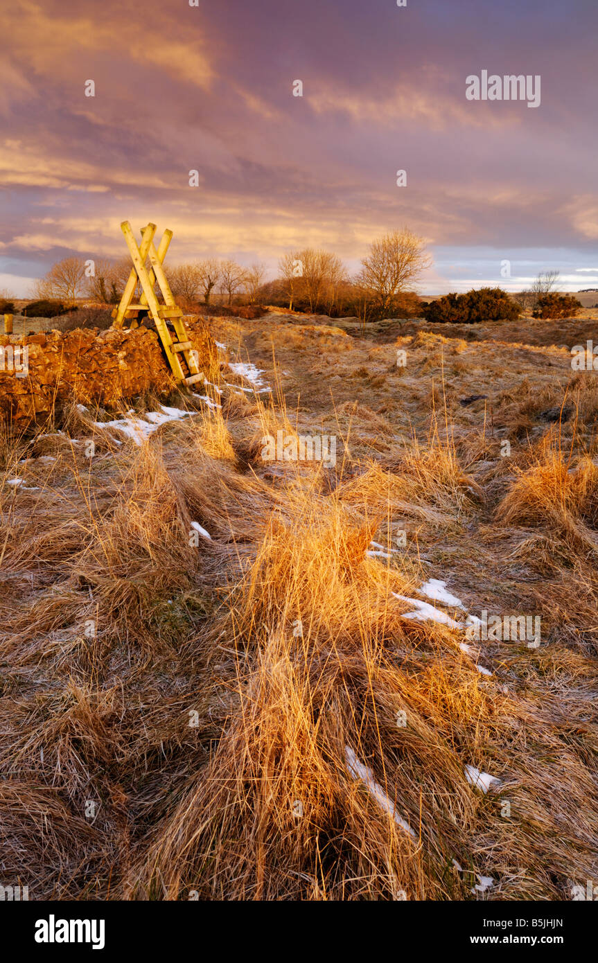 Ubley warren hi-res stock photography and images - Alamy