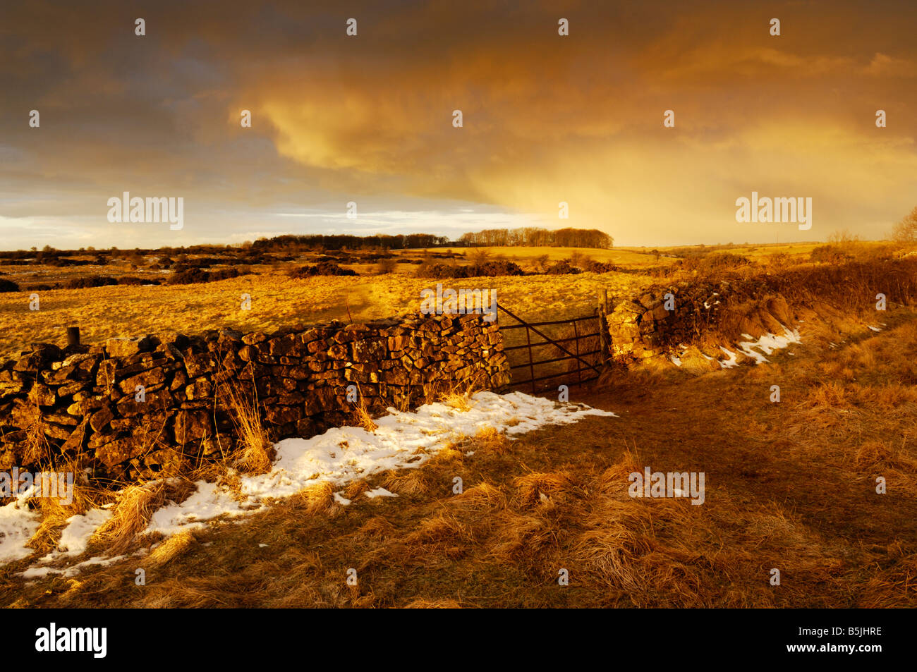 Ubley warren hi-res stock photography and images - Alamy