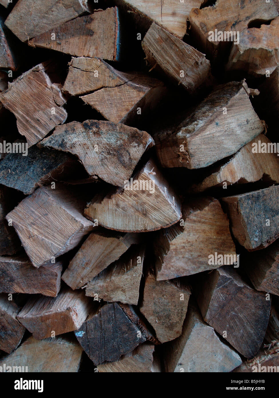 Log pile bug hi-res stock photography and images - Alamy