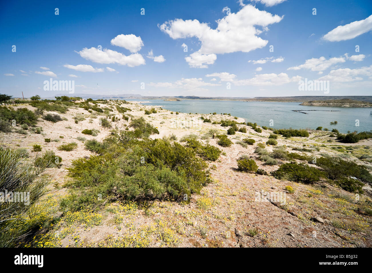Elephant Butte Lake High Resolution Stock Photography and Images - Alamy