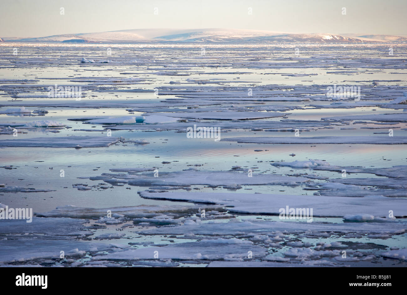 Pack ice drift ice ice hi-res stock photography and images - Alamy