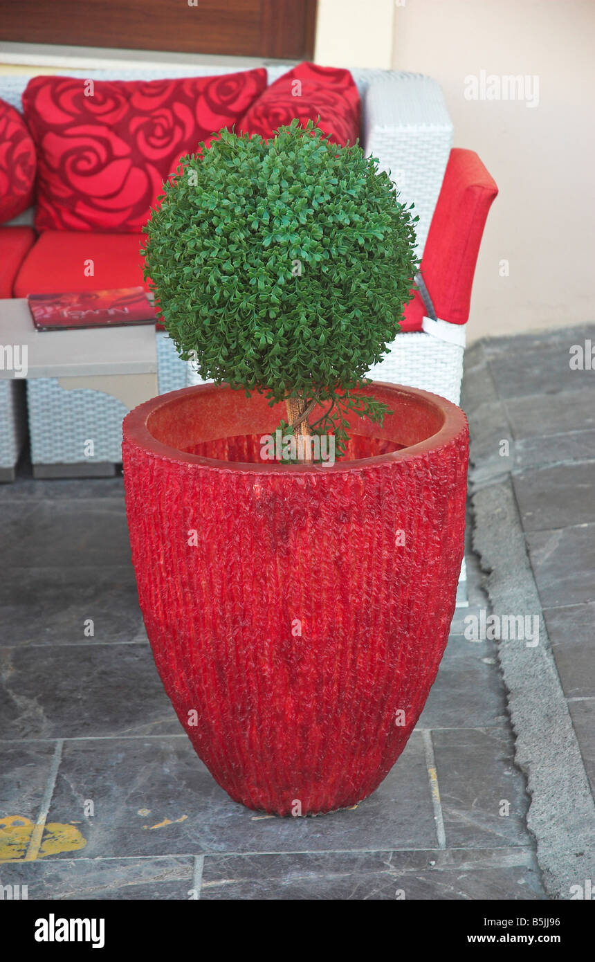 Greek pot plant hi-res stock photography and images - Alamy