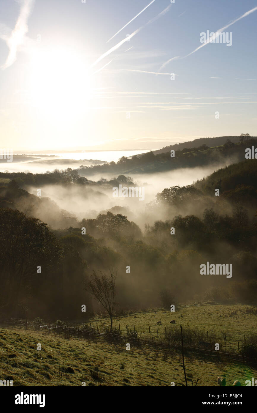 Mist early hi-res stock photography and images - Alamy