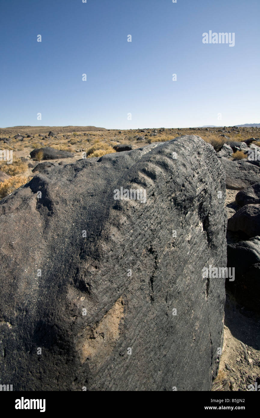 Fallon nevada hi-res stock photography and images - Alamy