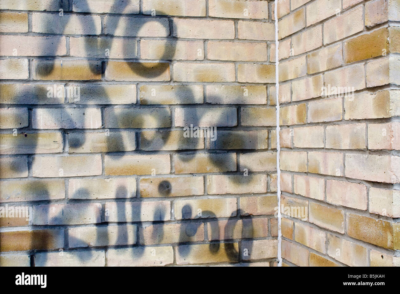 Animal graffiti hi-res stock photography and images - Alamy