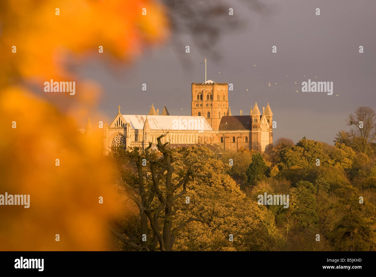 St albans abbey hi-res stock photography and images - Alamy