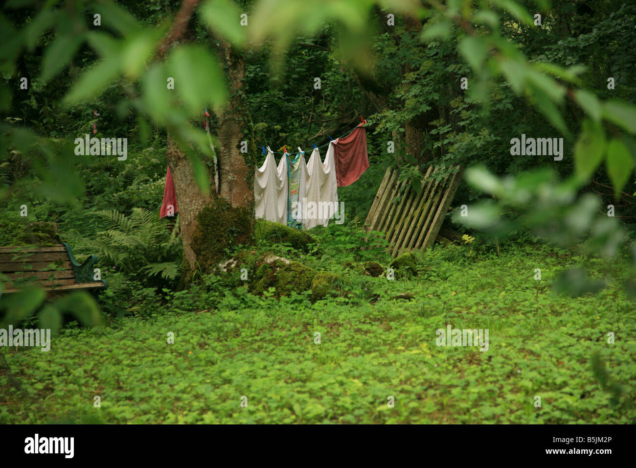 This is an image of a washing line in a country cottage household. The ...